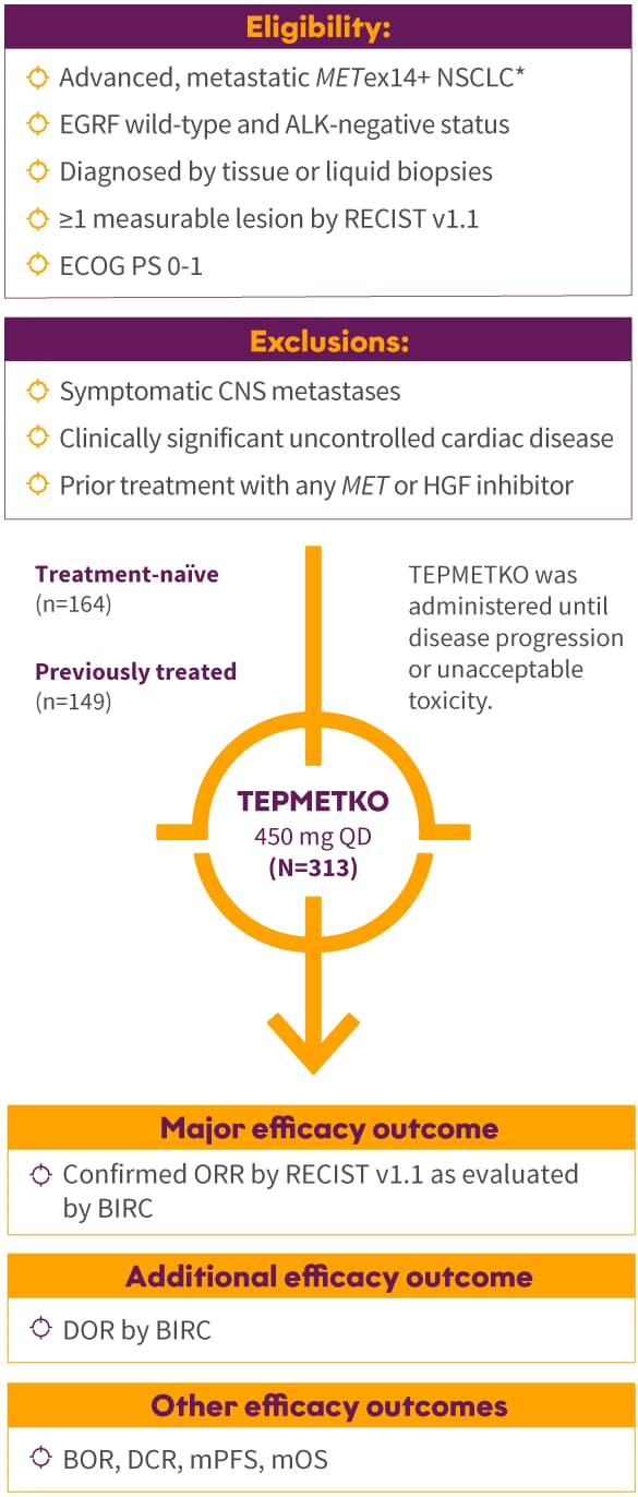 VISION Trial | TEPMETKO® (tepotinib) HCP