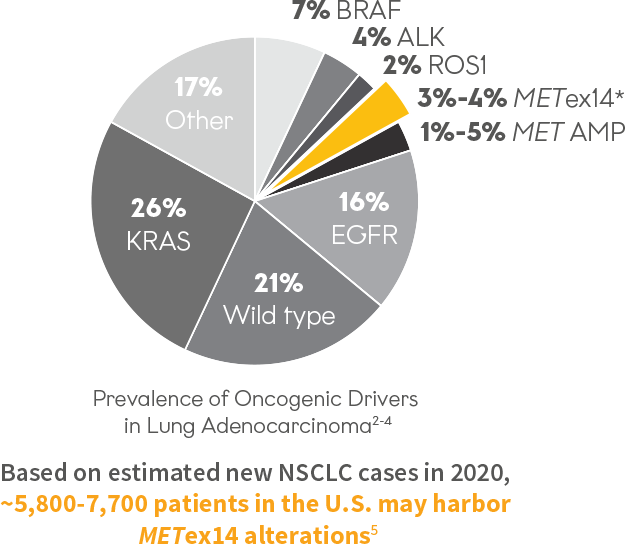 MET Exon 14 Skipping in NSCLC | TEPMETKO® (tepotinib) HCP